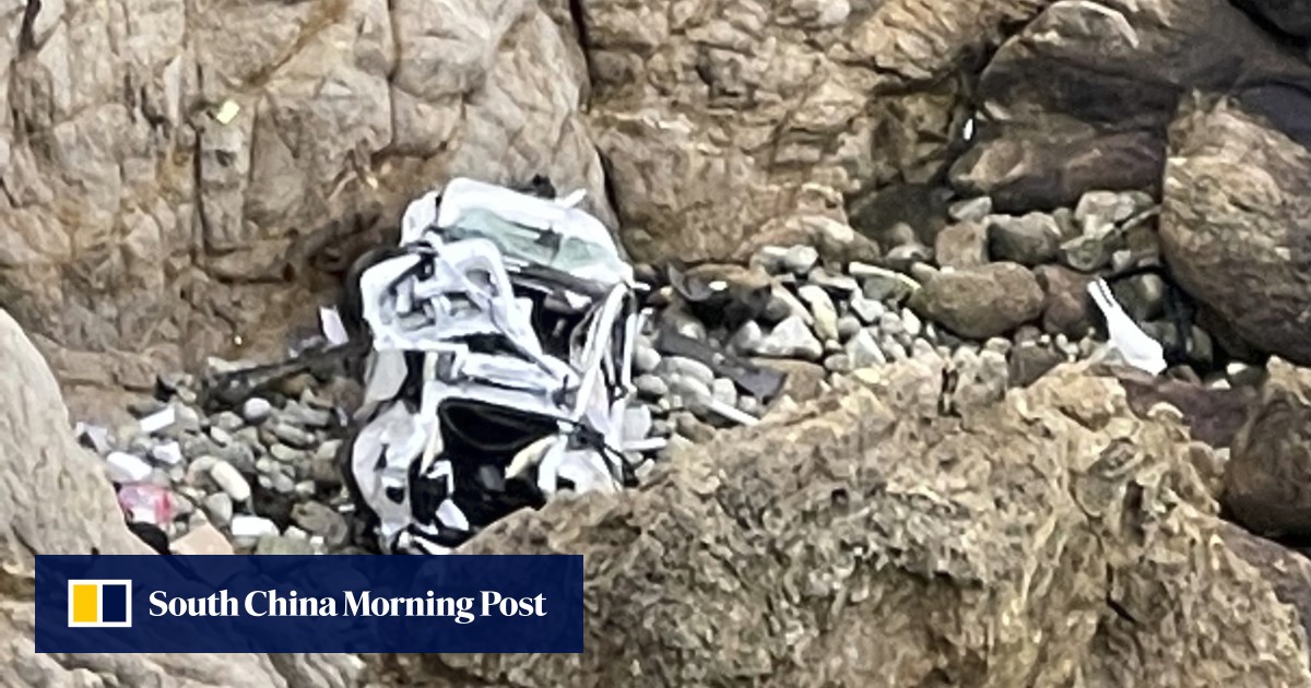 Tesla driver in California arrested, suspected of intentionally driving ...