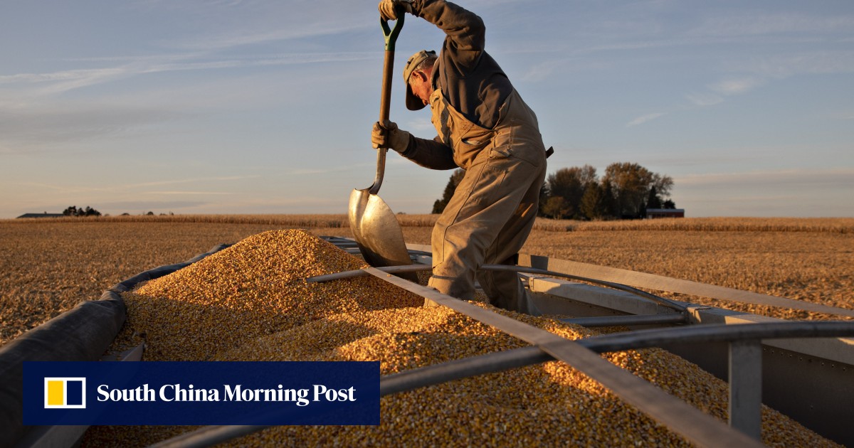 US expects Beijing’s zero-Covid reversal to help keep China its No 1 ...