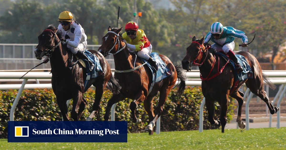 Golden Sixty still the king of Sha Tin after sparkling Stewards’ Cup ...