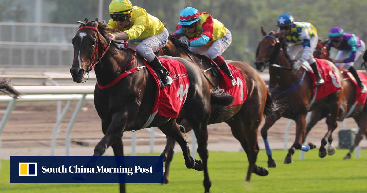 Centenary Sprint Cup might not have Stewards’ Cup wow factor, but it’s ...