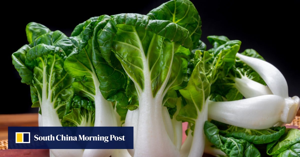Scientists unlock secrets of China’s bak choi, with aim of cross ... Scientists unlock secrets of China’s bak choi, with aim of cross ...