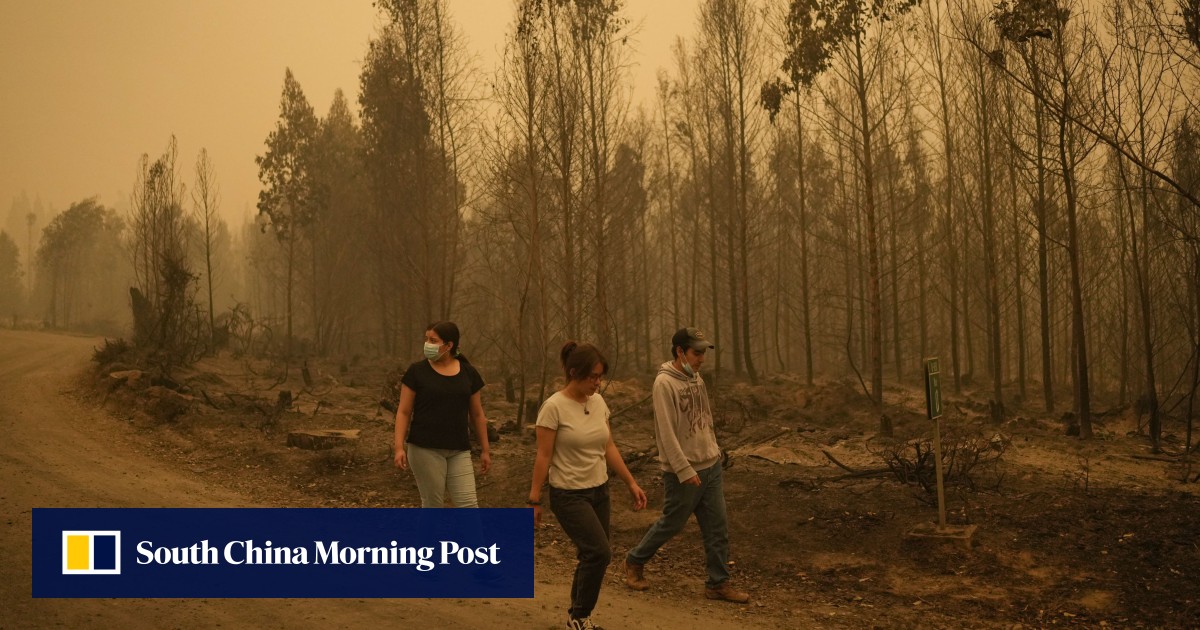 Chile forest fire death toll rises to 24, hundreds left homeless ...