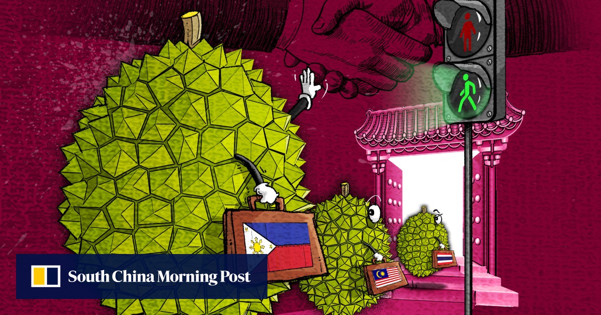 Chinas Durian Demand Is A Godsend For Philippine Trade But For Other Asian Countries ‘durian