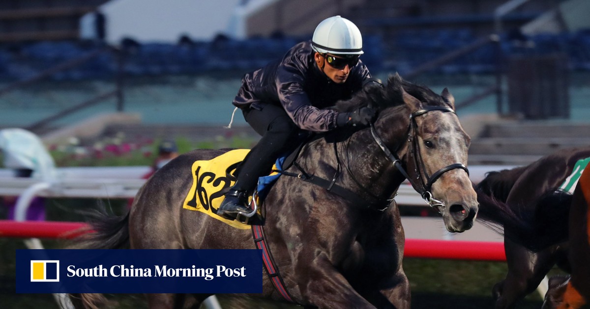 Karis Teetan ready to go to War aboard South African heiress Mary Slack’s first Hong Kong ...