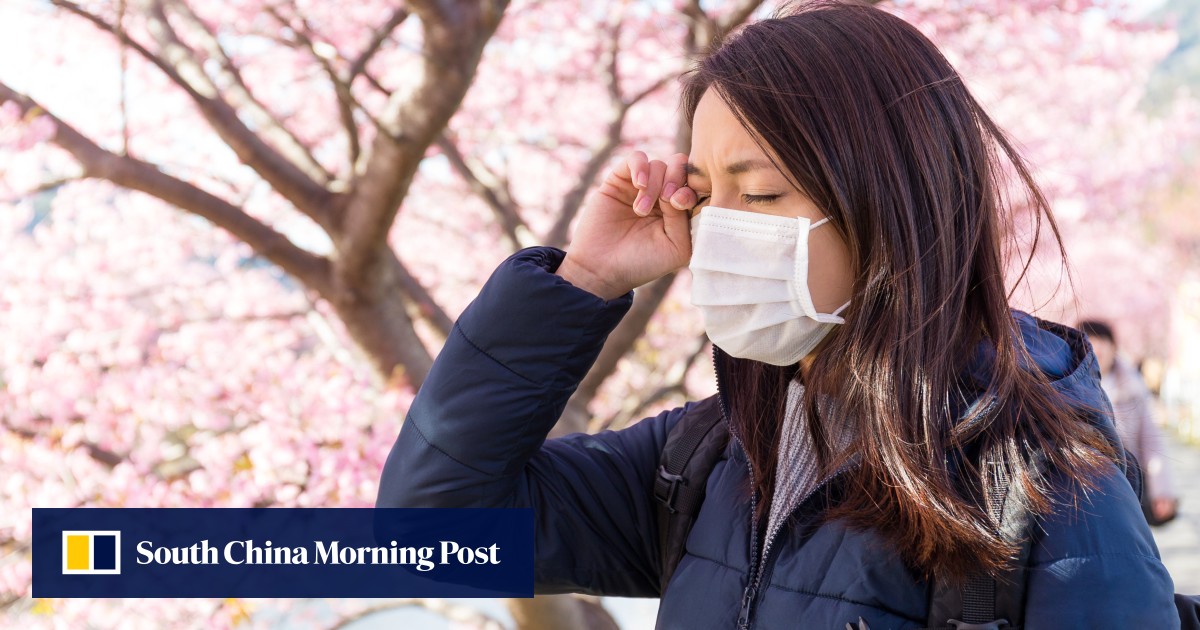 Japan gets something to sneeze at as pollen levels set to hit 10-year ...