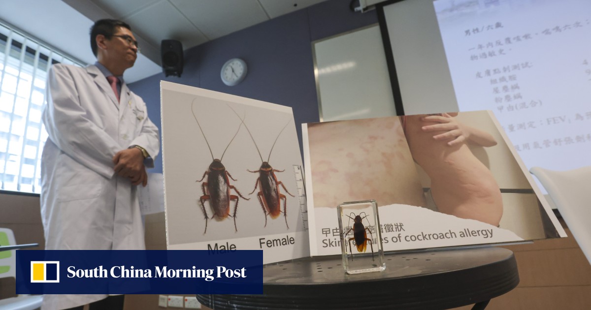 Chinese University of Hong Kong researchers find ‘most complete’ genome ...