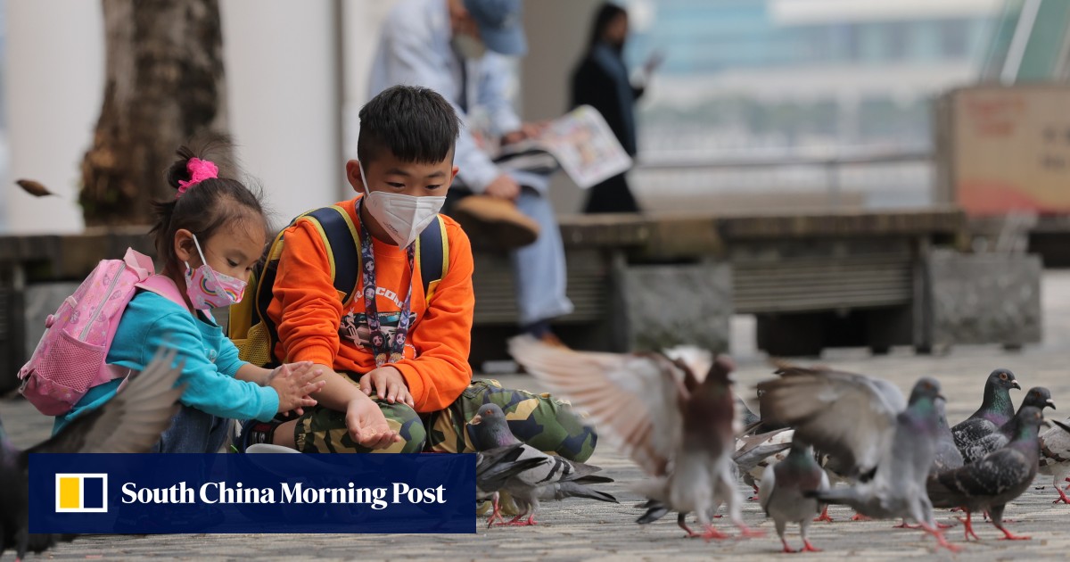 Letter | Hong Kong TV rule changes will impact kids’ programming and ...