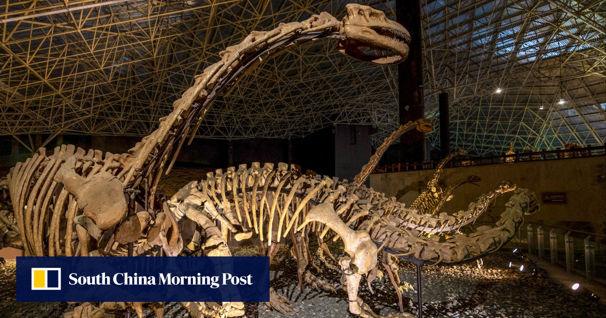 Extinct-in-wild species in conservation limbo amid Earth’s 6th mass ...