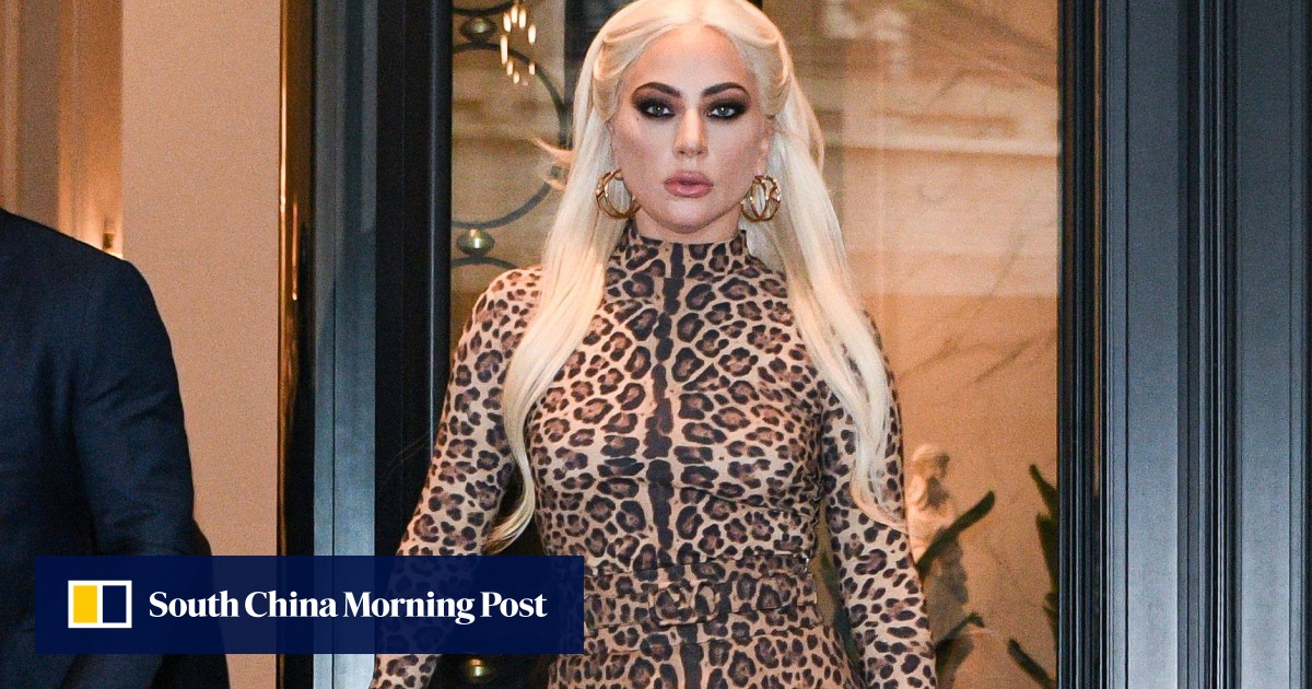 Woman who returned Lady Gaga’s stolen dogs is suing singer for US ...