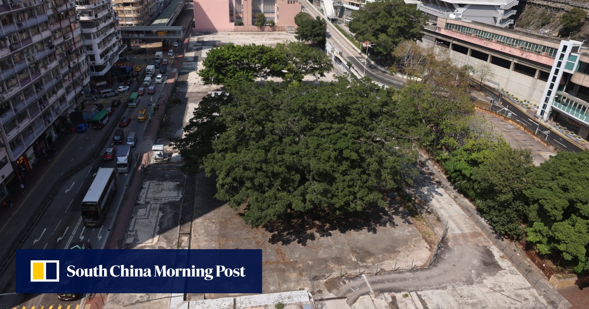 Sun Hung Kai wins Mong Kok site for US$602.5 million, well below ...