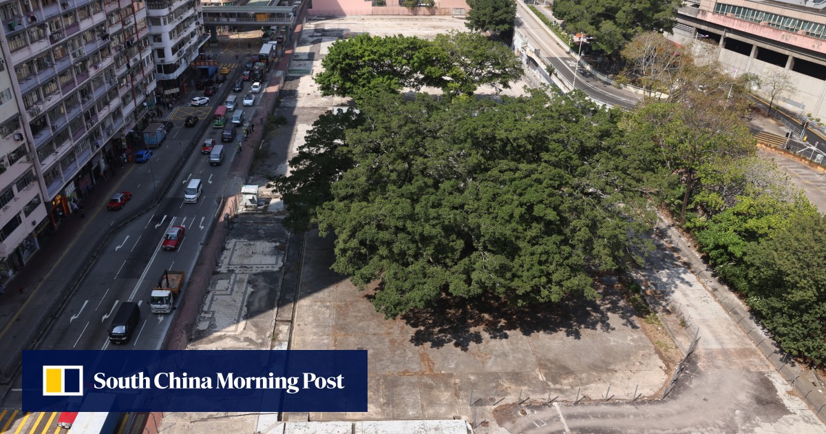 Cheaper Land In Hong Kong What Low Price Parcel Sales Mean To Buyers