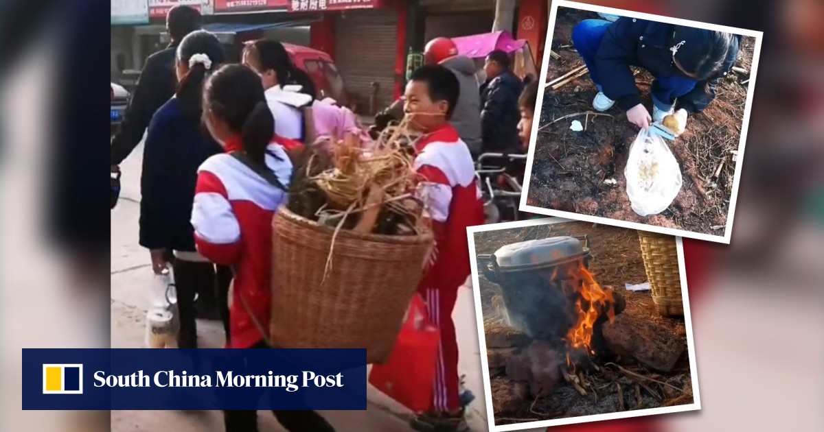 ‘Spring cookout’ at primary school in China allowing students to cook ...