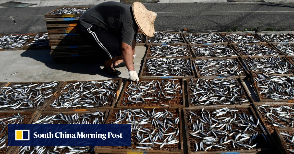 China resumes Taiwanese fish imports in sign of economic thaw, to ...