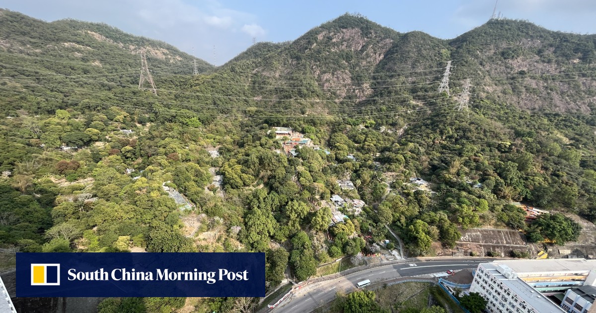 Hong Kong concern group unhappy public housing plan will disrupt ...