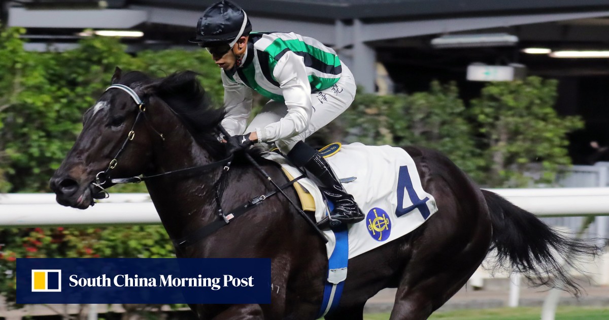 David Hayes looks on the Brightside about his HKIR-targeting sons and ...