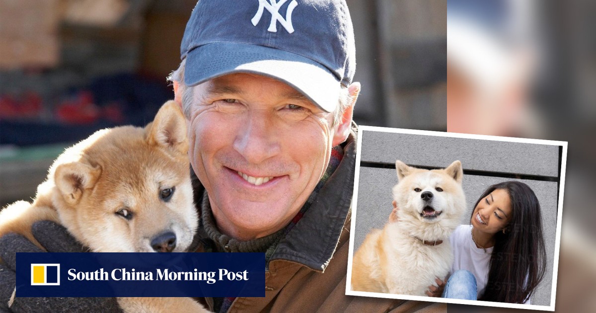 Doggy movie date: Chinese social media delighted as scores of dog ...