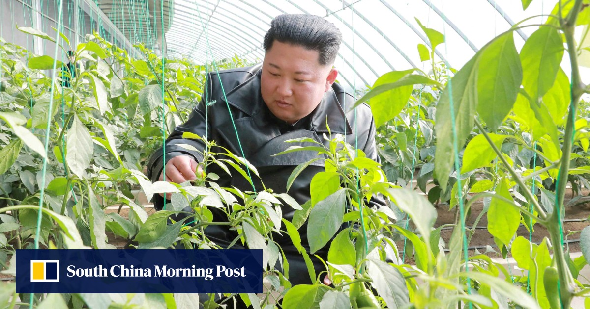 China trade: North Korea’s food crisis could push Pyongyang to resume ...