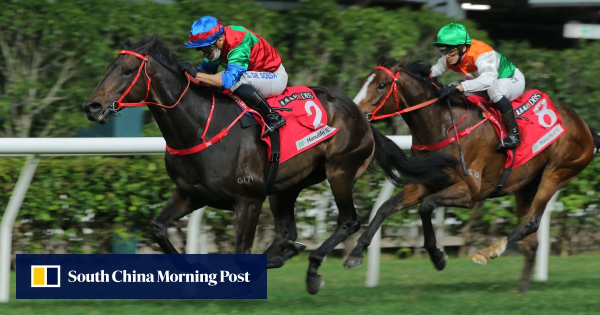 Money Catcher out to add to his HK$10 million season in Chairman’s ...