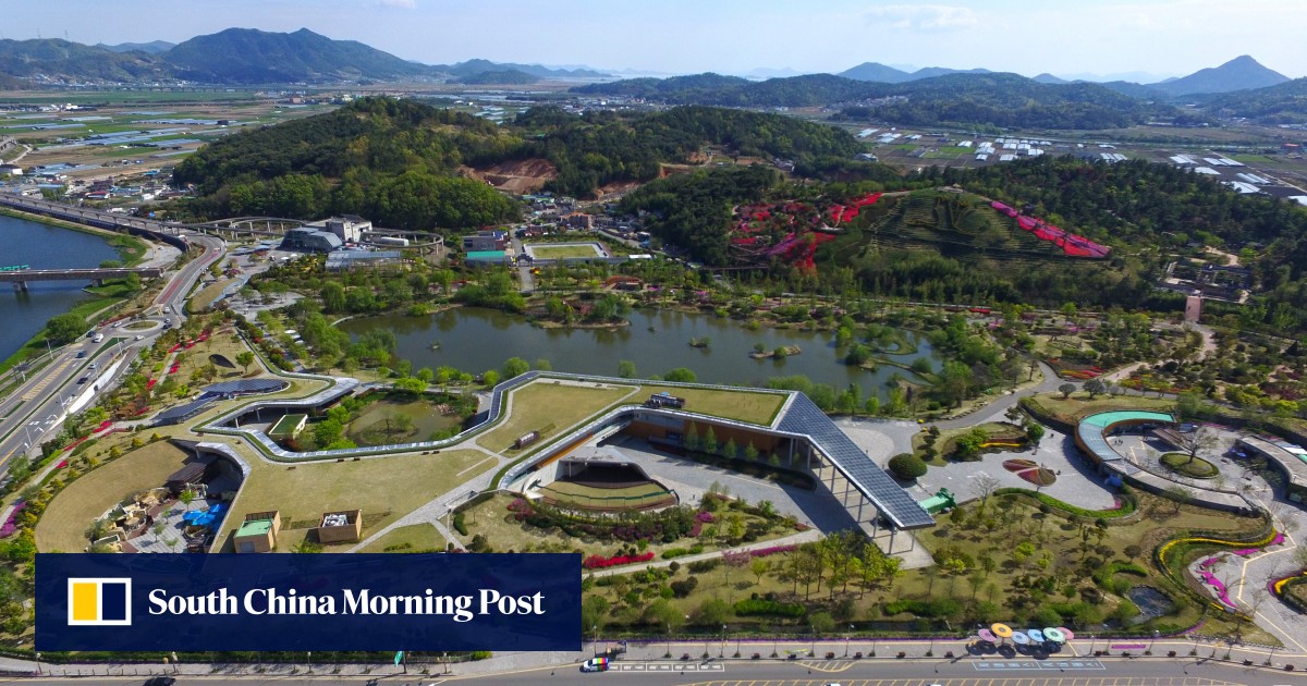 How conservation efforts breathed new life into South Korea’s Suncheon ...