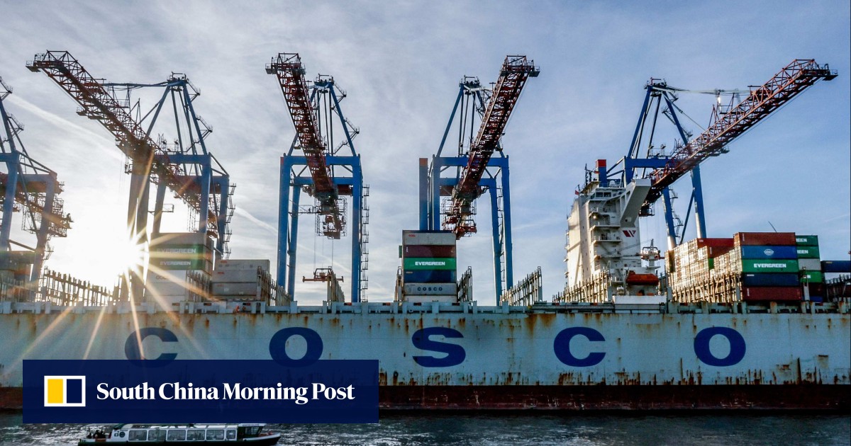 Germany reviews Chinese stake in Hamburg port amid concerns over human ...