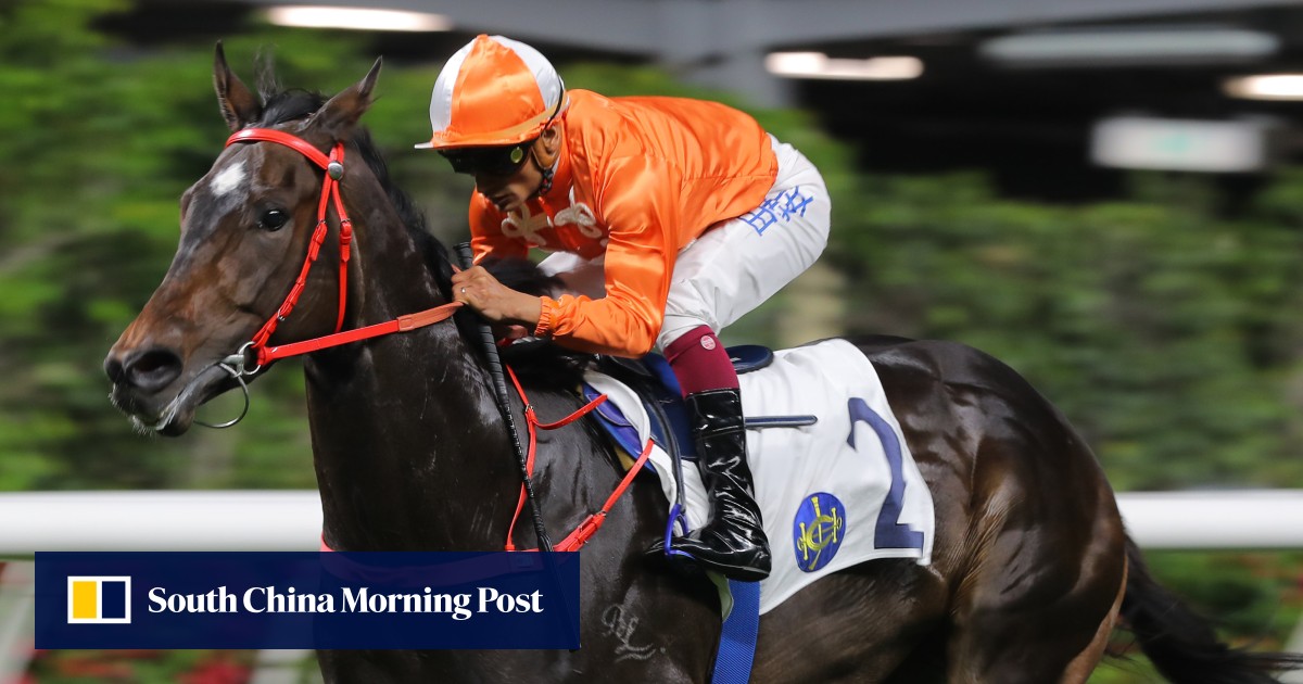 Howdeepisyourlove faces Class Two acid test: ‘after this race, we’ll ...