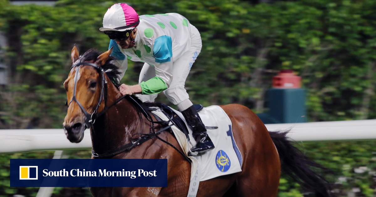 History repeats as David Hall tastes immediate success after birth of ...