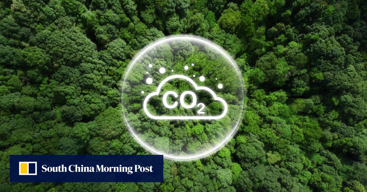 Climate change: how the new global quality assessment framework can ...