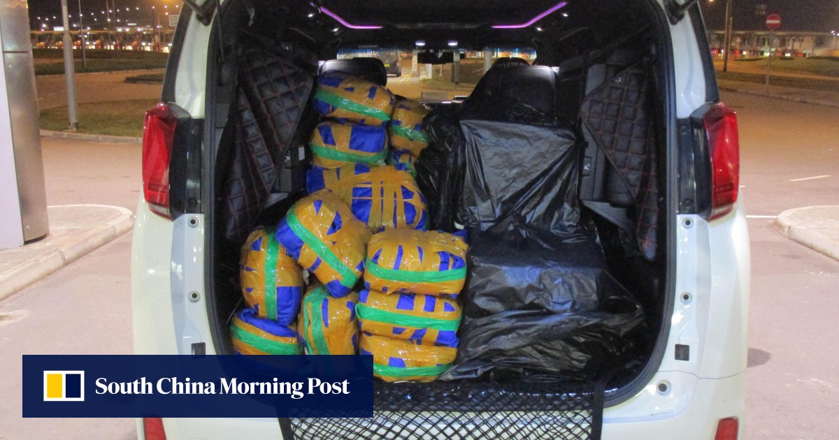 Hong Kong customs officers arrest suspects trying to smuggle 350 live ...