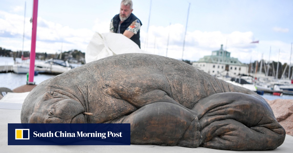 Life-size bronze sculpture of euthanised walrus unveiled in Norway ...