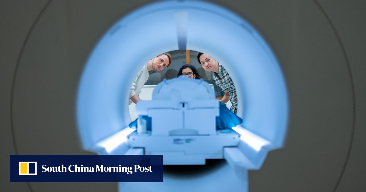 Scientists use brain scans, AI to ‘decode’ thoughts | South China ... Scientists use brain scans, AI to ‘decode’ thoughts | South China ...