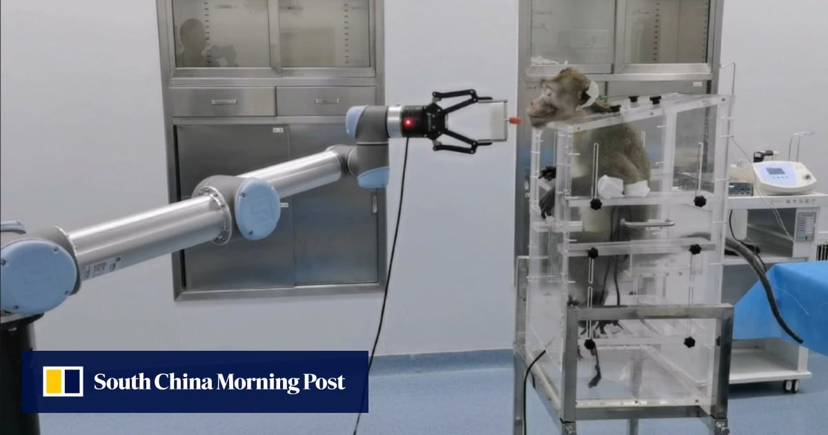 Chinese researchers claim monkey brain advance after moving robotic arm ... Chinese researchers claim monkey brain advance after moving robotic arm ...