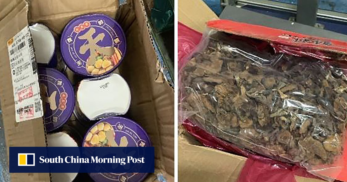 Singapore fines Chinese woman US$9,000 for smuggling nearly 175kg of ...