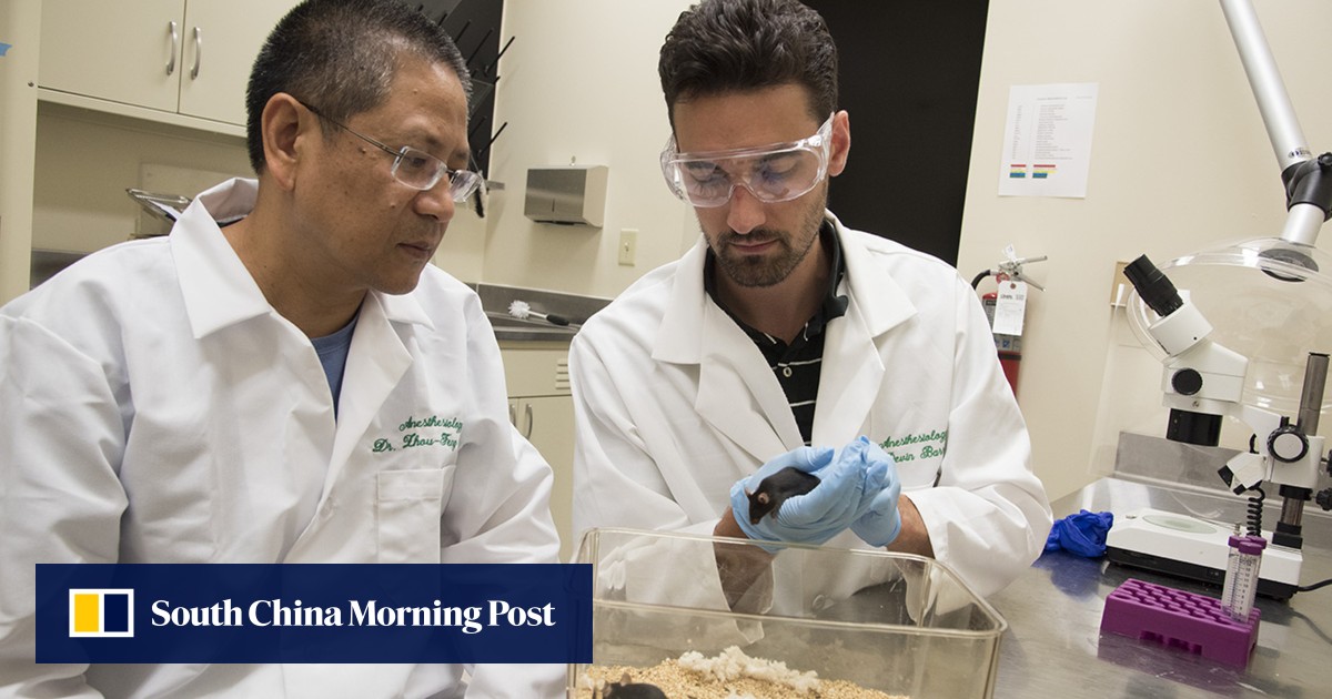 ‘Itch gene’ scientist joins Shenzhen institute after US lab sealed off ...