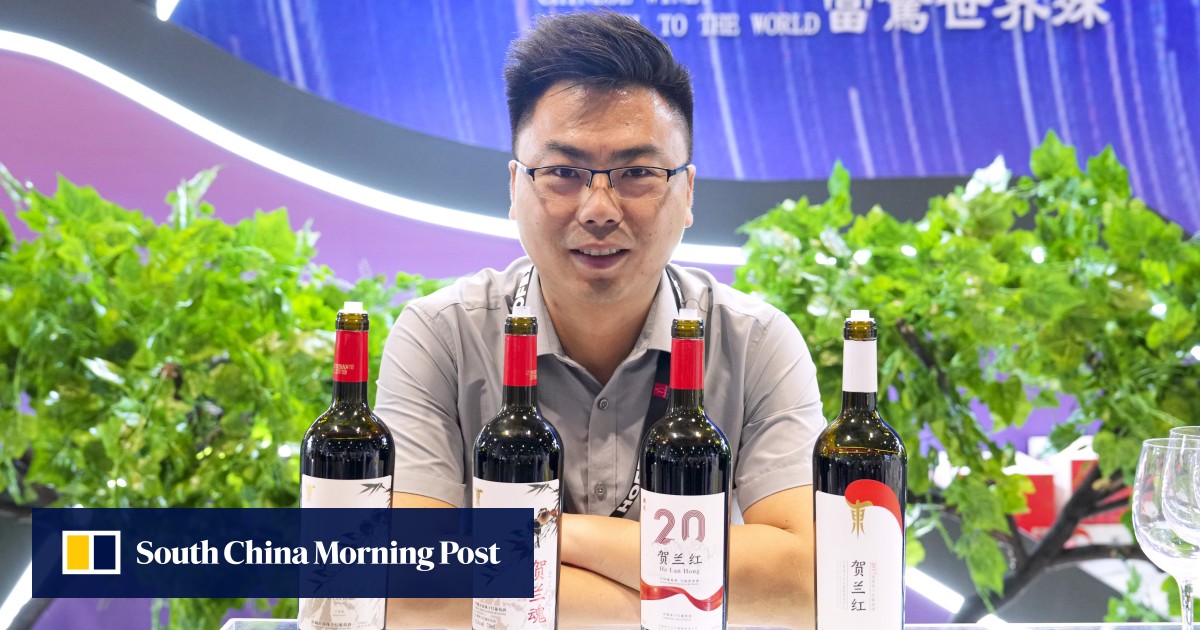 Wine blitz launched by mainland China’s Ningxia on world market plans ...