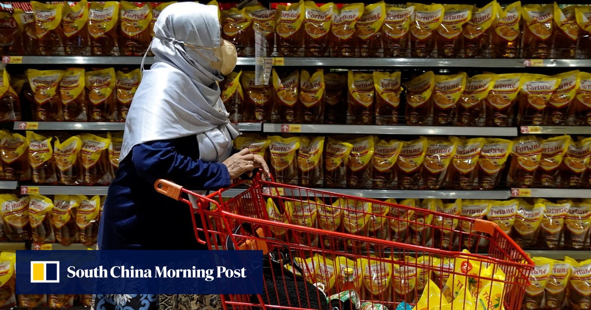 Indonesia’s antitrust body fines cooking oil firms for restricting ...