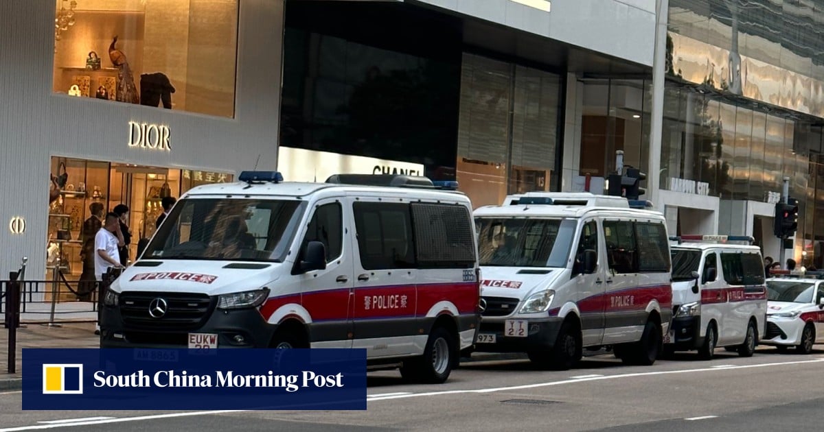 Hong Kong Police Arrest Alleged Triad Leader 34 Others After Gang