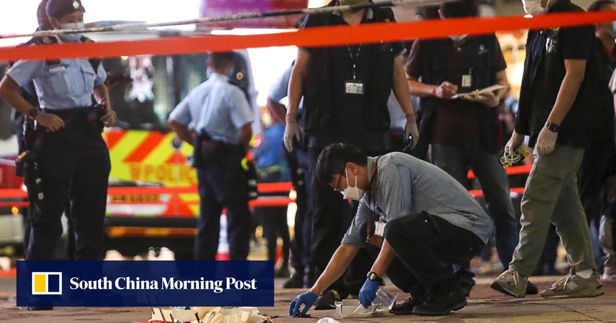 Hong Kong law student from mainland China remanded in custody after ...