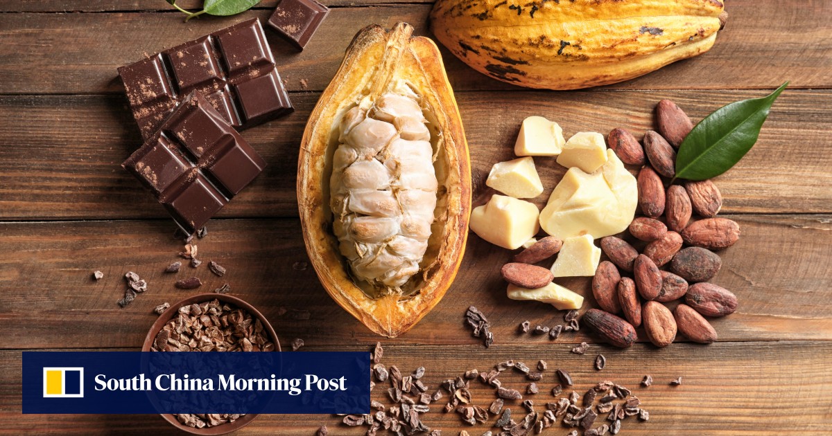 How chocolate could counter climate change | South China Morning Post
