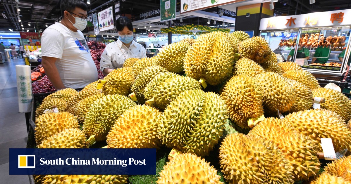 Want to try China’s first domestically grown durian? Better head to ...