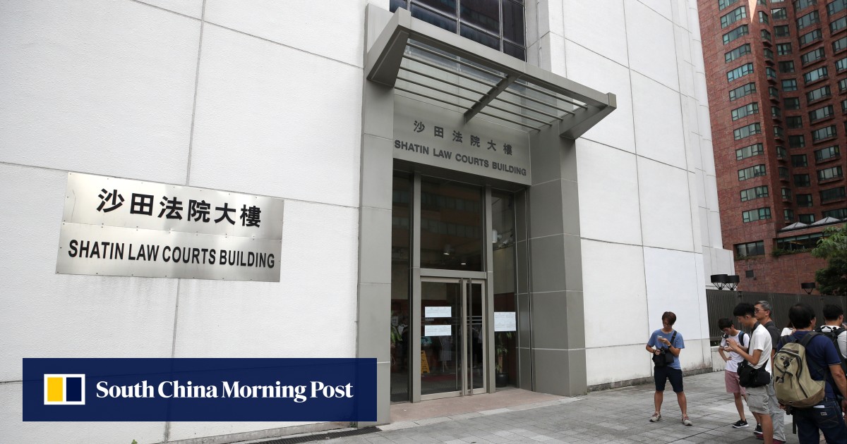 Retired Hong Kong police officer given 8 weeks to consider plea in ...