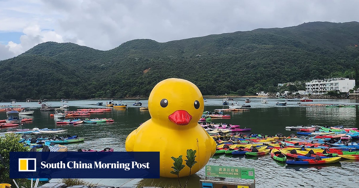 Hong Kong operator forced to deflate giant duck similar to beloved art ...