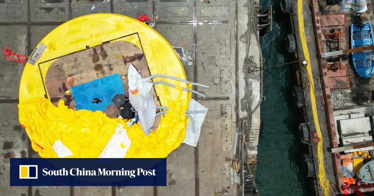 Hong Kong’s swooning duck ready to return to Victoria Harbour after ...