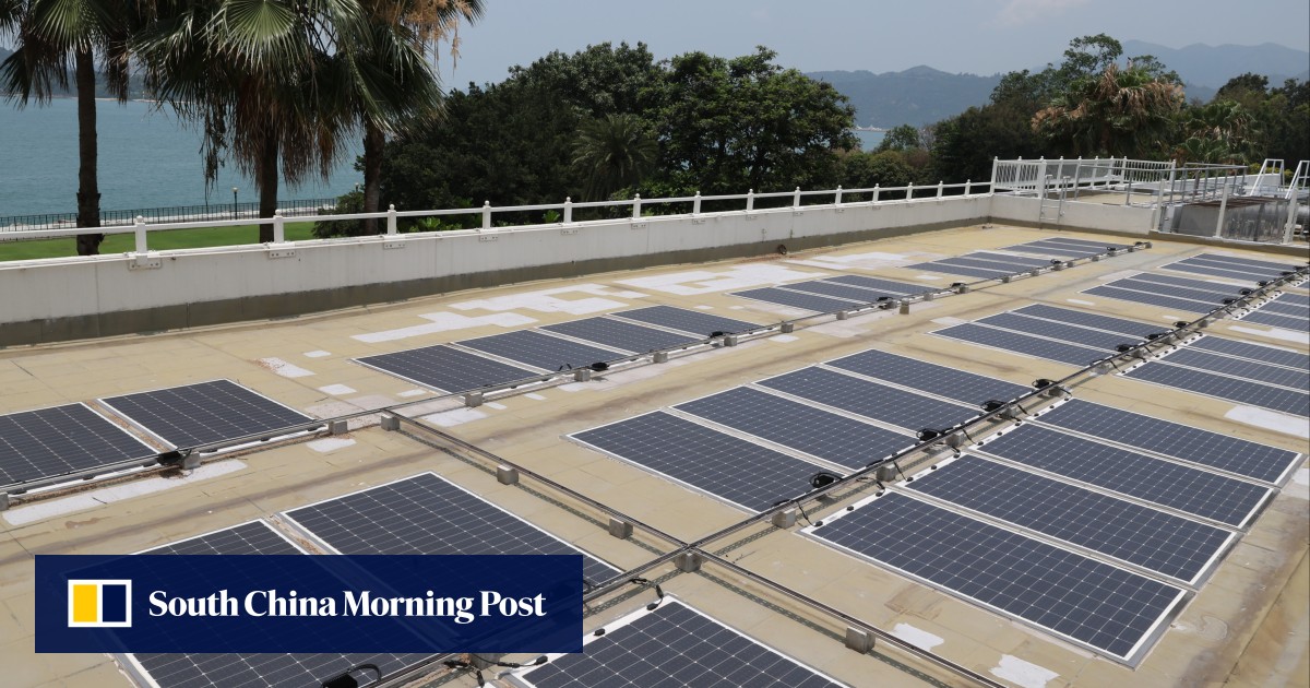 China’s photovoltaic association says industry executive was detained ...