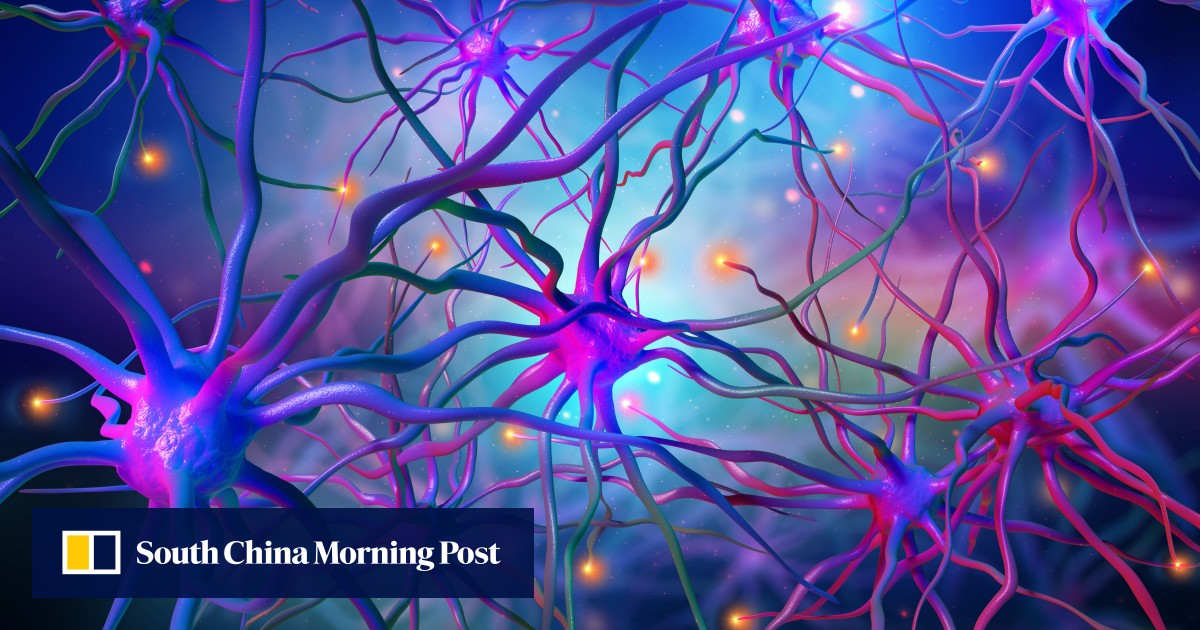 China study turns brain activity into Mandarin, breaks language barrier ...