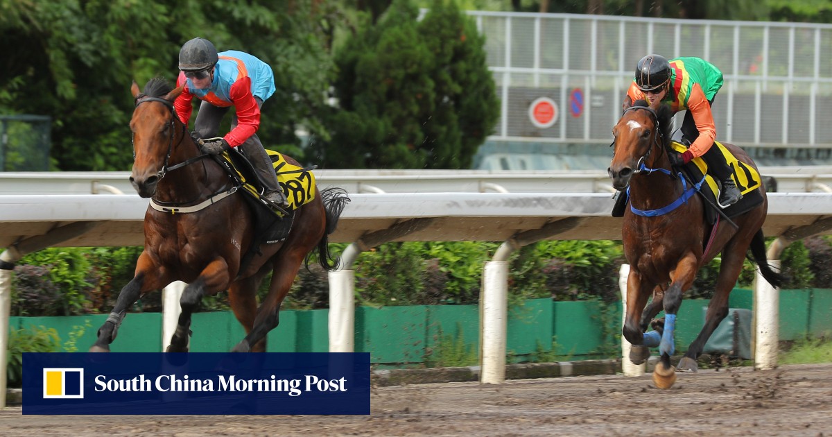 After breaking his nose on the barriers, ‘quieter’ Ka Ying Victory ...