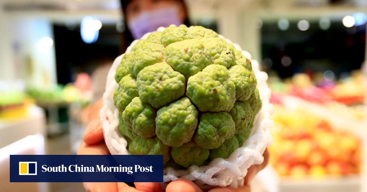 Mainland China resumes imports of Taiwanese sugar apples after 2-year ...