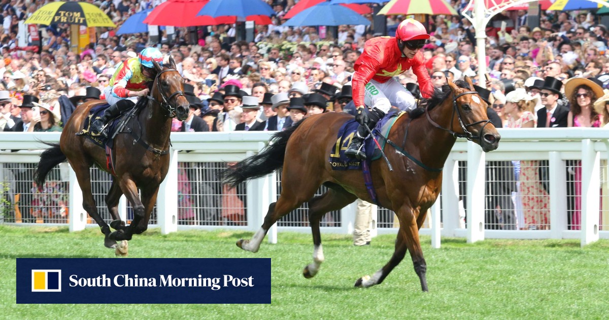 Richard Gibson reflects on Wellington’s Royal Ascot misfortune: ‘it was ...