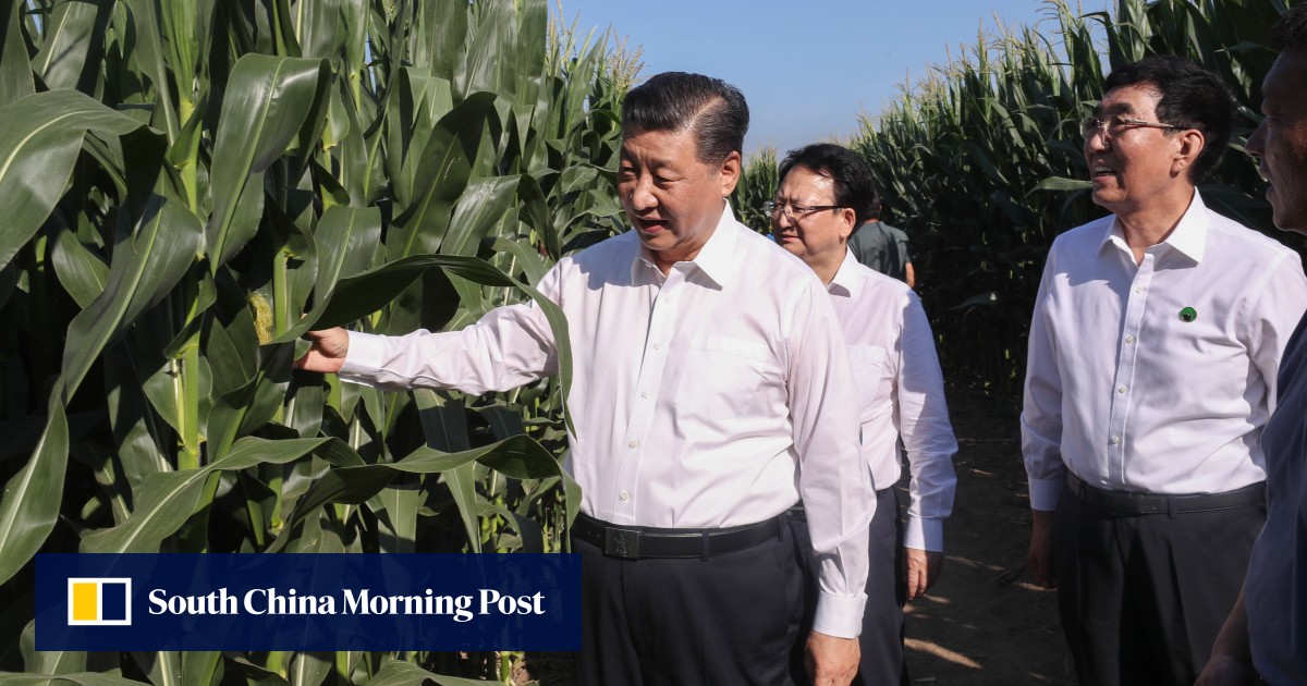 China food security: with new law, can Beijing reverse loss of arable ...
