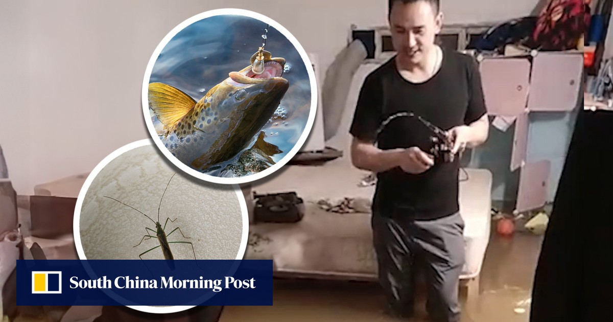 ‘Catching insects instead of fish’: video of man fishing next to bed in ...