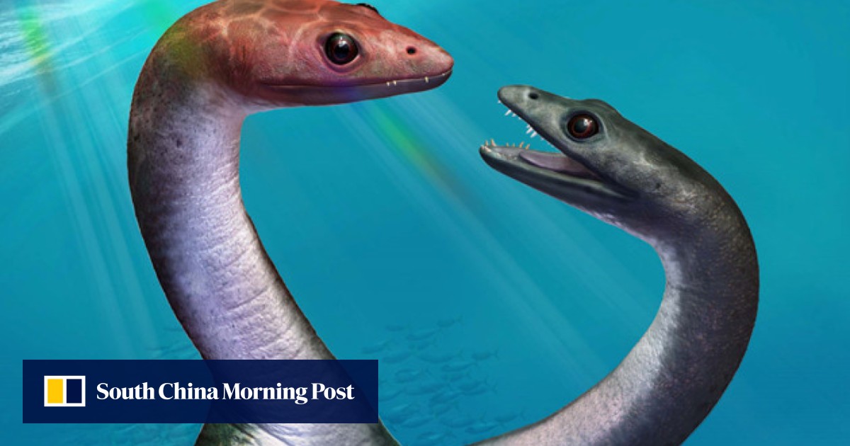 Chinese-led team reports first evidence of puberty in dinosaur-era ...